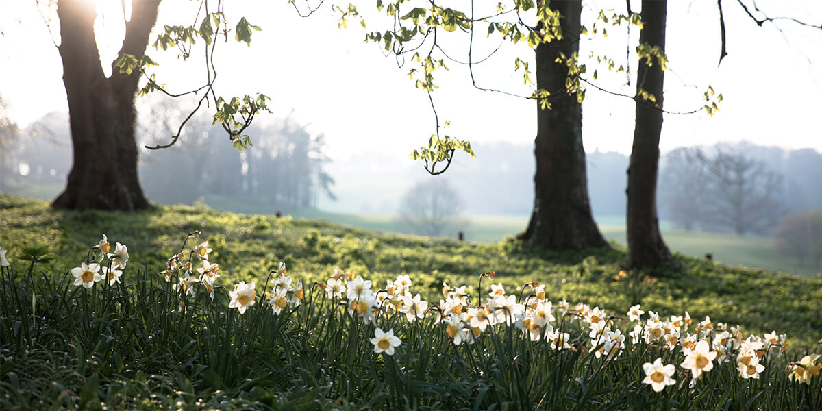 Miserden | A forward thinking estate with traditional values.